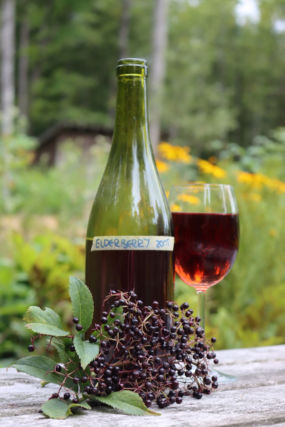 Tasting the Benefits of Elderberry Wine