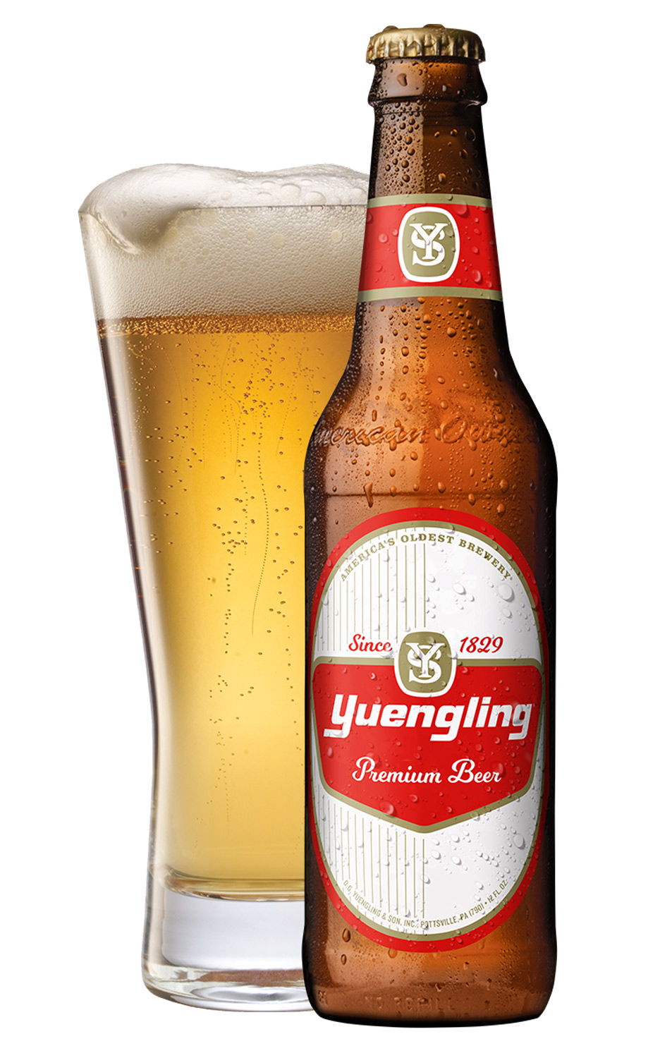 Taste the Refreshing Flavor of Yuengling Premium!