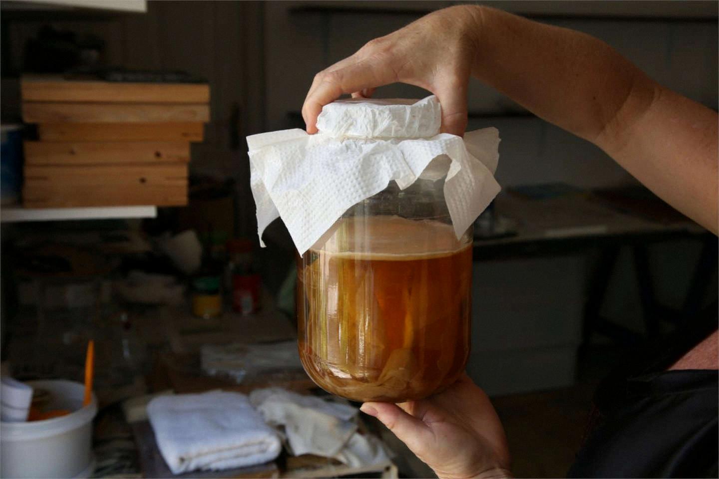 Hard Kombucha Recipe